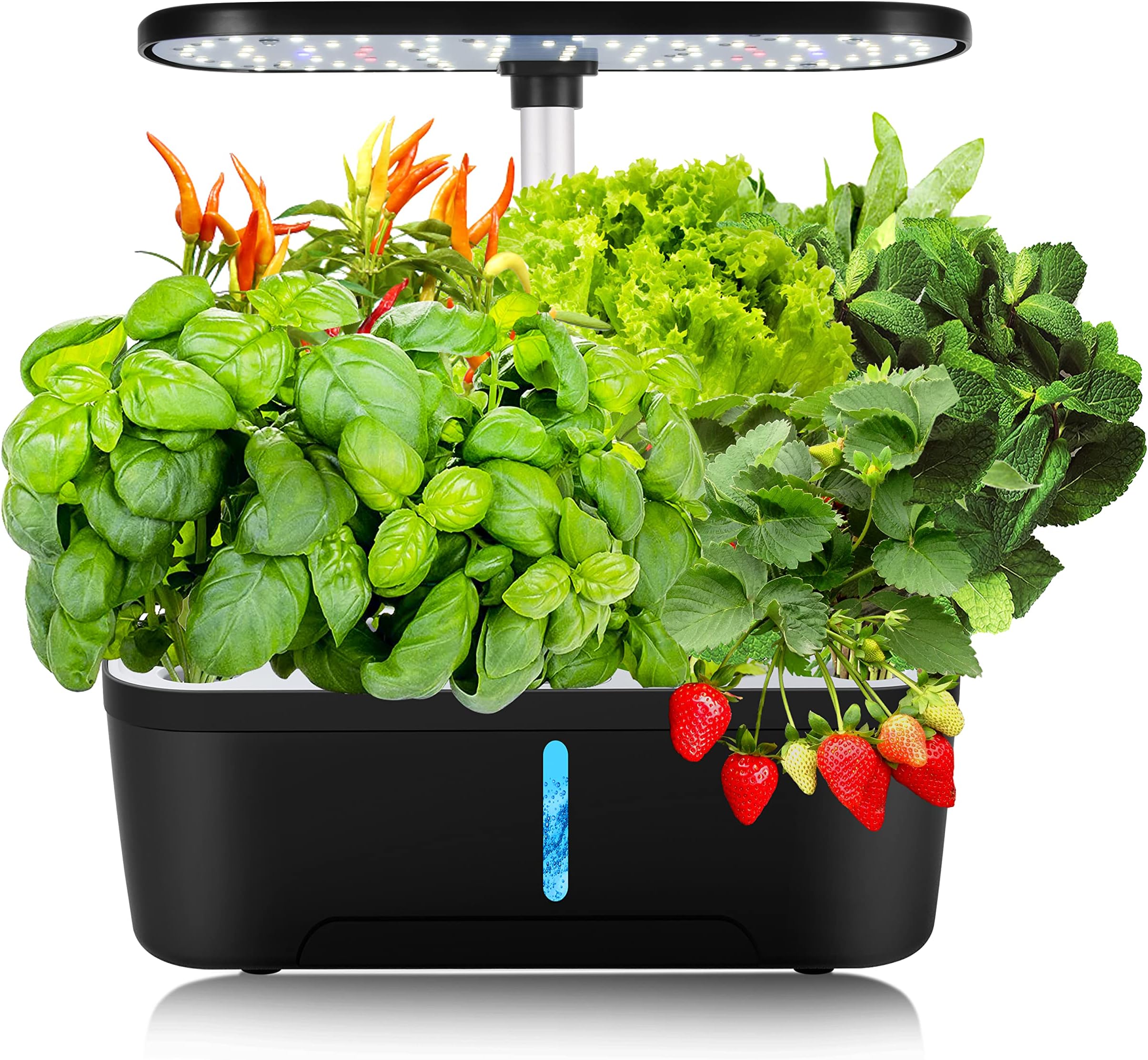 Amazon.com : KRpiaxy Hydroponics Growing System, Indoor Garden System ...