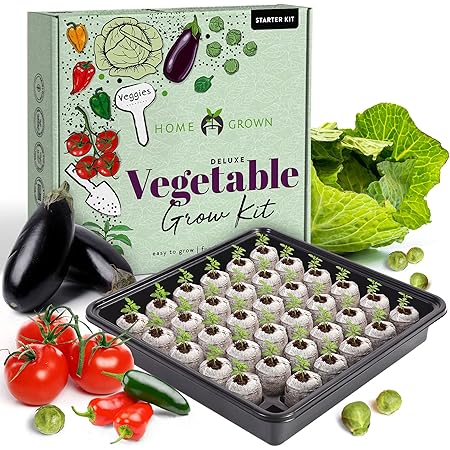 Amazon.com: 4 Herb Garden Starter Kit Indoor: Complete Grow Kit w ...