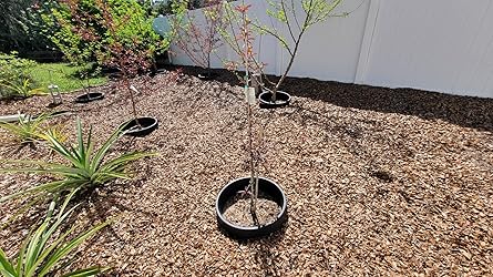 Amazon.com : 6 Pack of 24 in Planting Rings. Edging and Water Retention ...