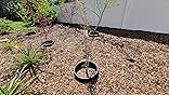Amazon.com : WaterRounds 6 Pack of 24 in Planting Rings. Landscape ...