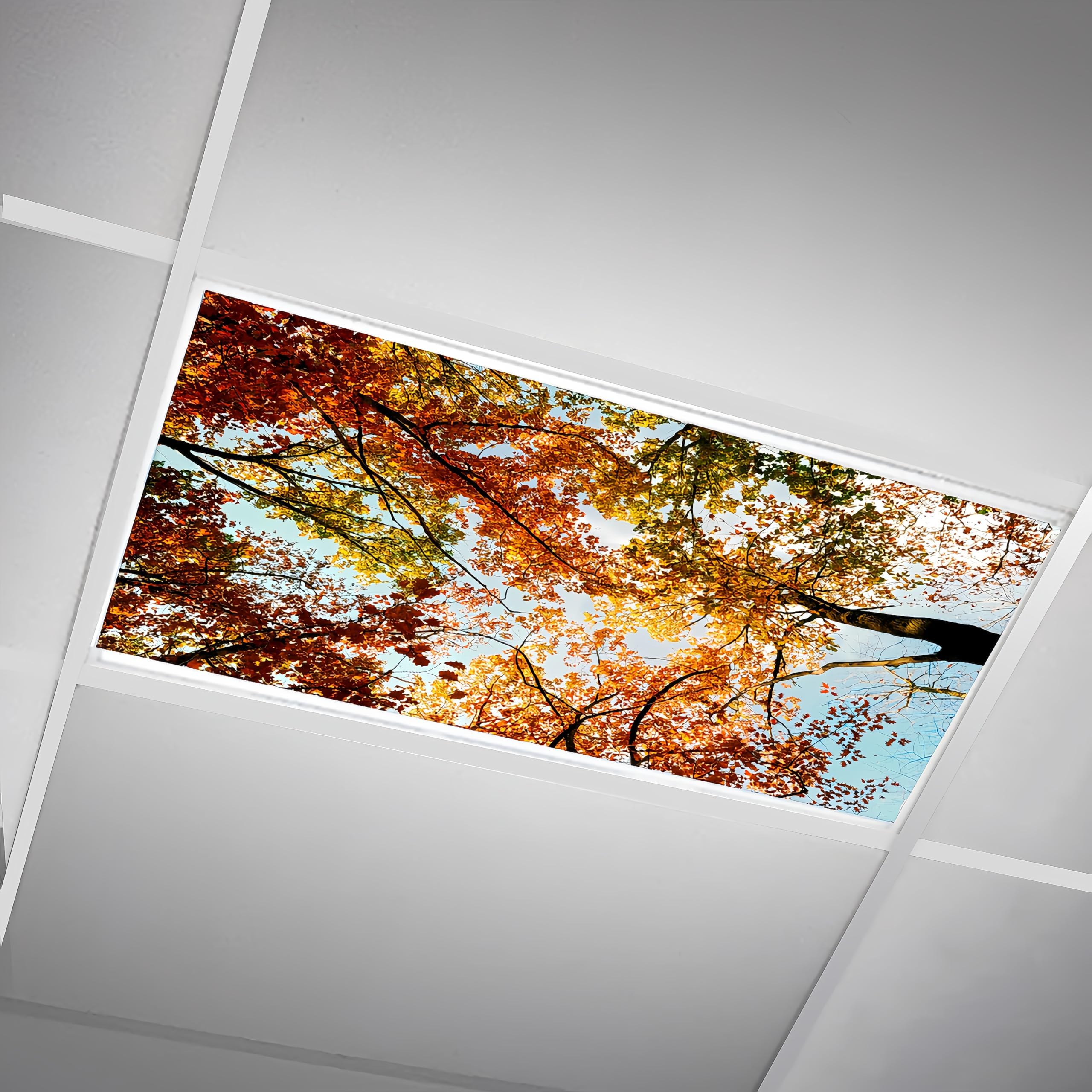 SCWISOAS Fluorescent Light Covers for Ceiling Lights -Magnetic Cloud ...