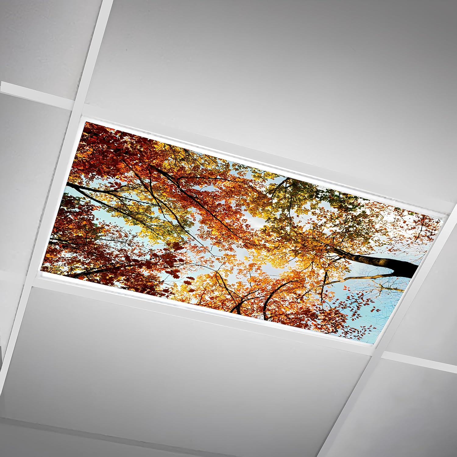 SCWISOAS Cache-lampes fluorescentes pour plafonniers – Couverture ...