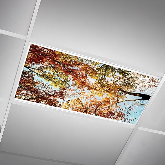 SCWISOAS Fluorescent Light Covers for Ceiling Lights -Magnetic Cloud ...