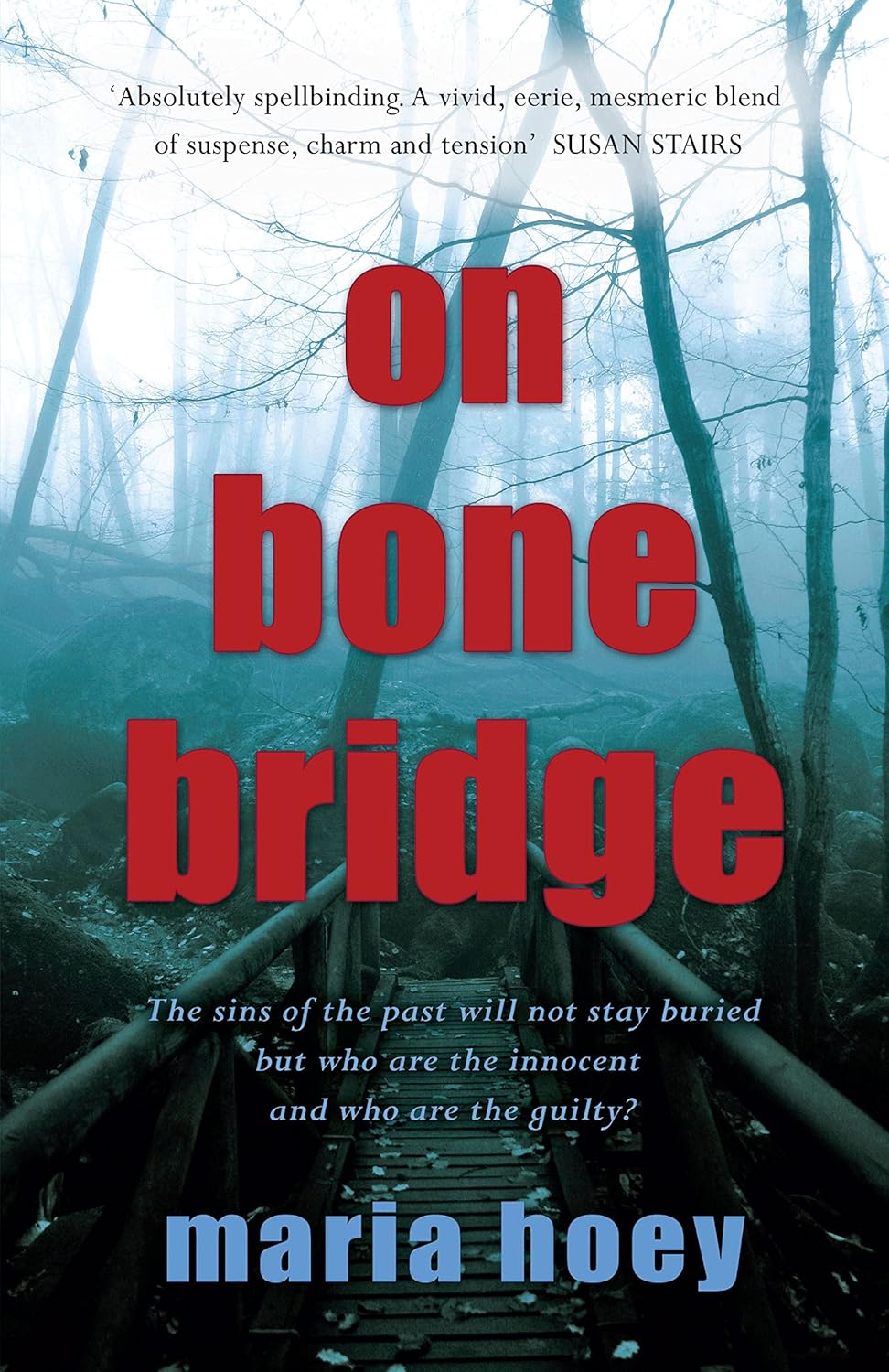 Amazon.com: On Bone Bridge eBook : Hoey, Maria: Books