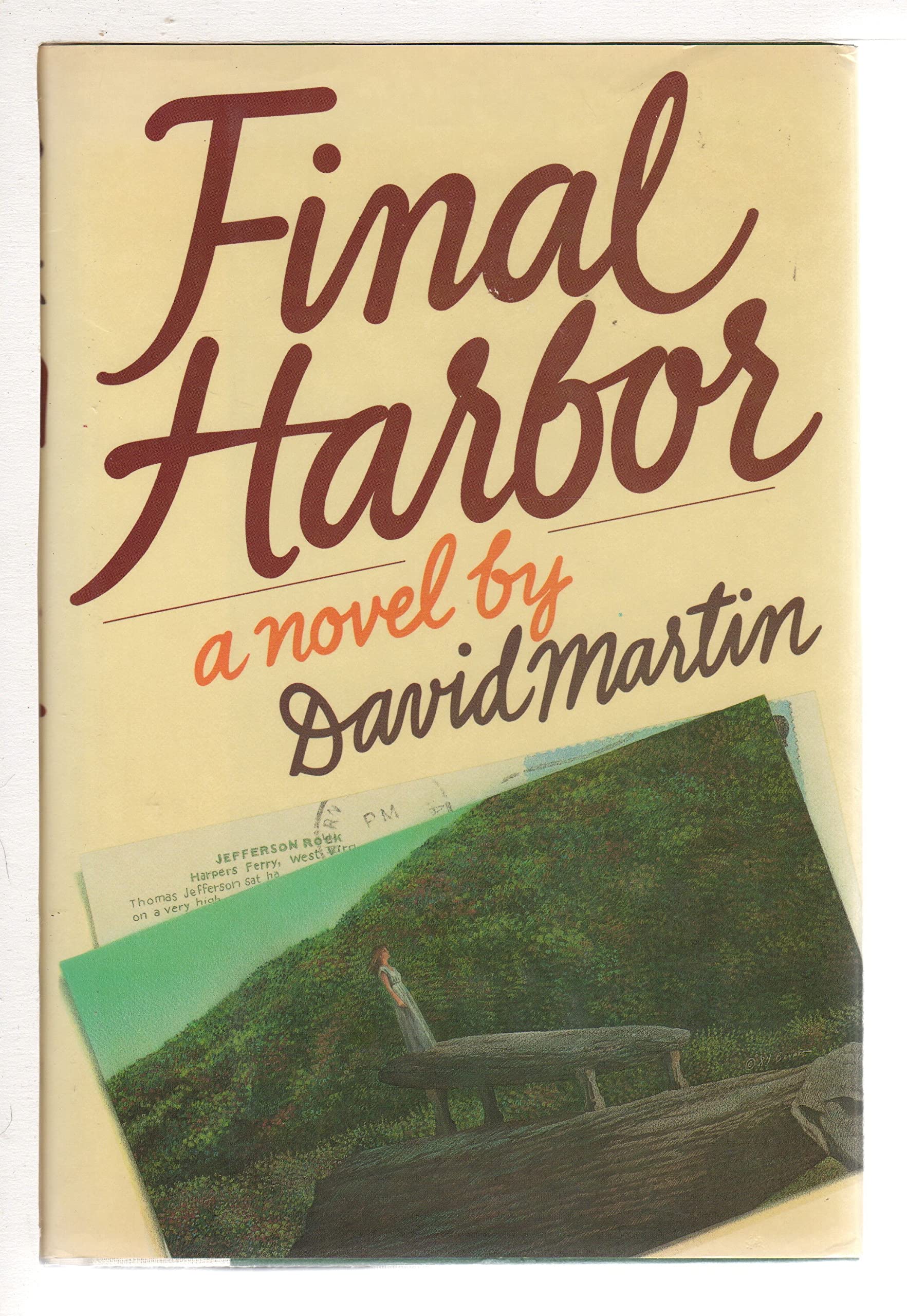 Final harbor: A novel: Martin, David Lozell: 9780030695049: Amazon.com ...