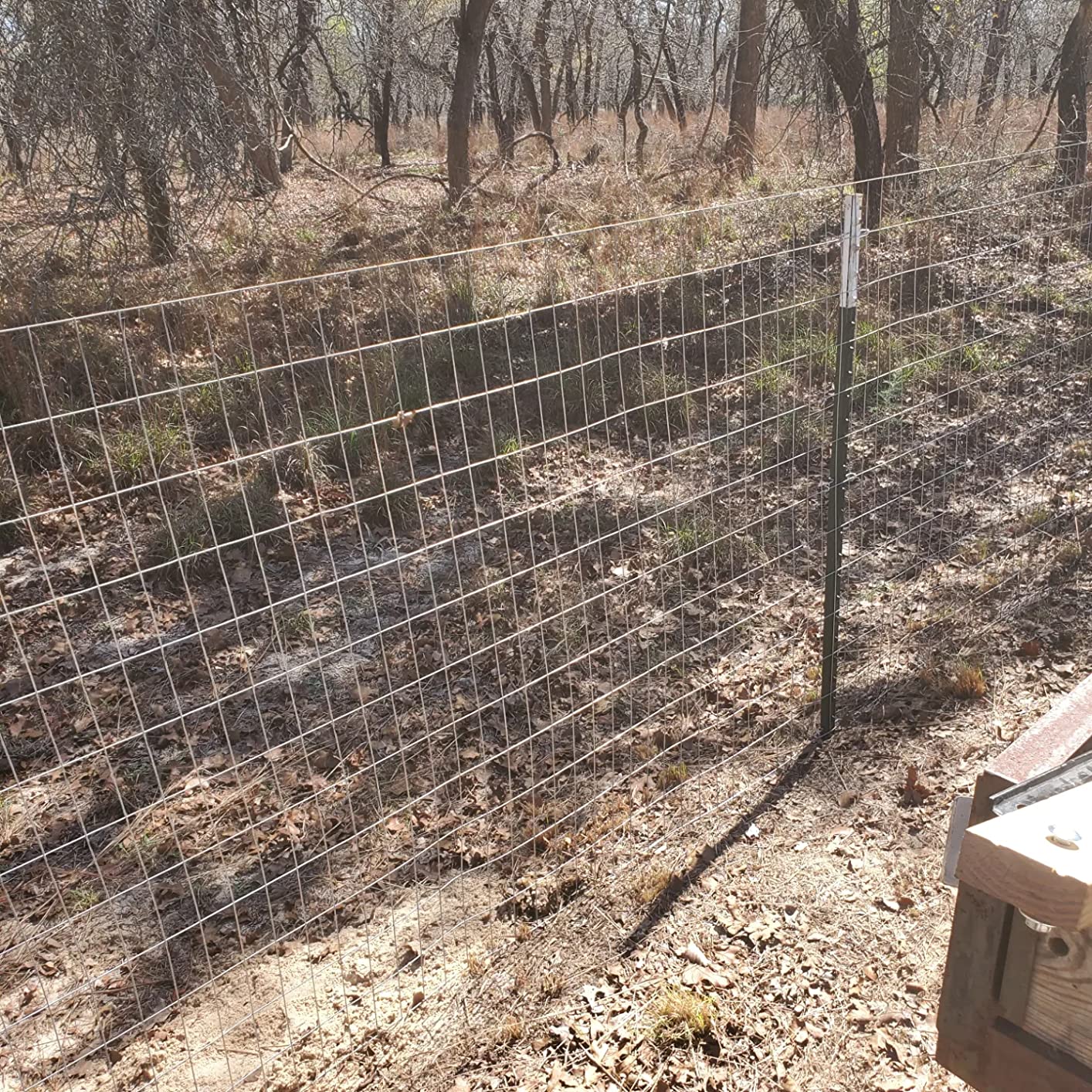 T-SWC T-Post Spring Wire Clips (500) - Amazon.com