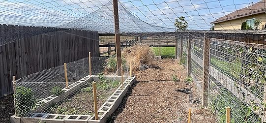 Amazon.com : Harvesto Heavy Duty Bird Netting for Chicken Coops & Runs | Tree & Garden Netting ...