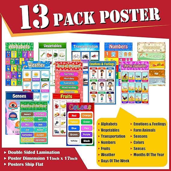 Amazon.com: Educational Posters for Kids and Toddlers, Pack of 13 Large ...
