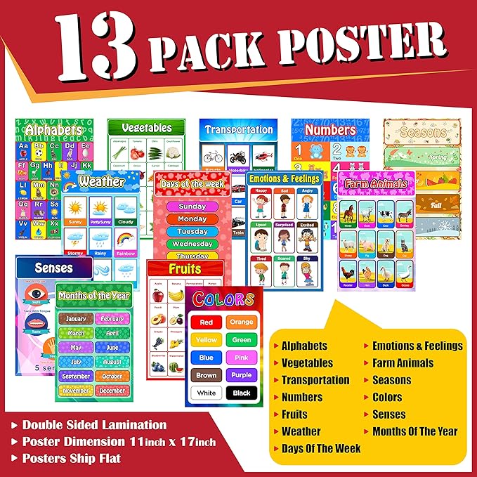 Amazon.com: Educational Posters for Kids and Toddlers, Pack of 13 Large ...