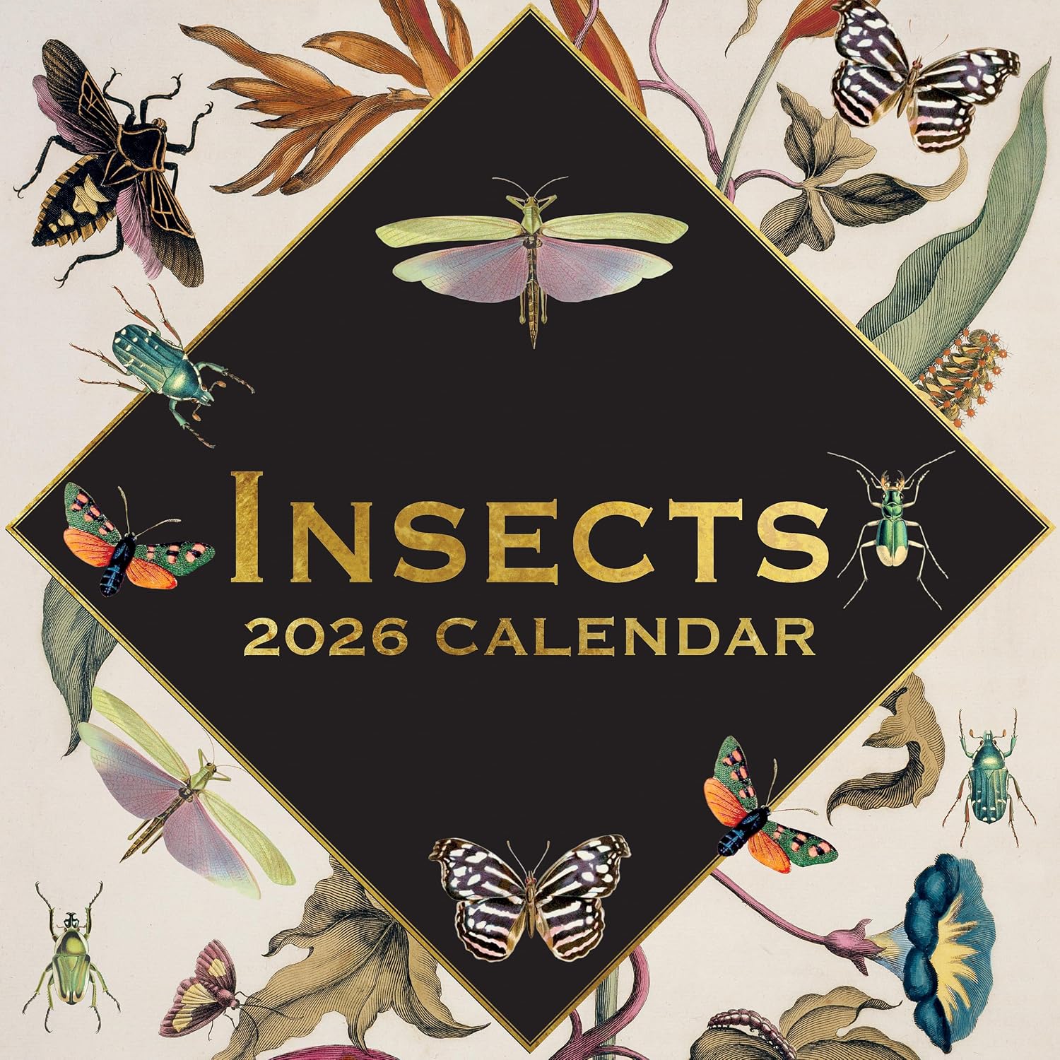 Insects – 2026 Gifted Stationery Wall Calendar Nature Entomology Art ...