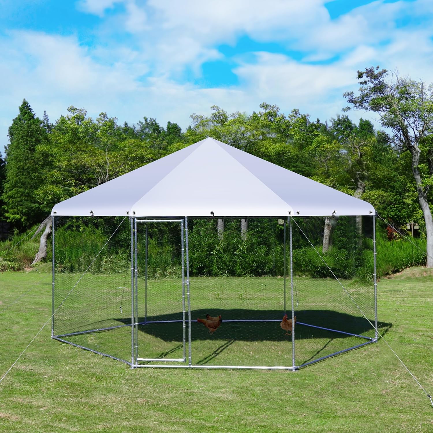 Amazon.com: TOLEAD Large Hexagonal Chicken Coop, Heavy-Duty Chicken Run ...