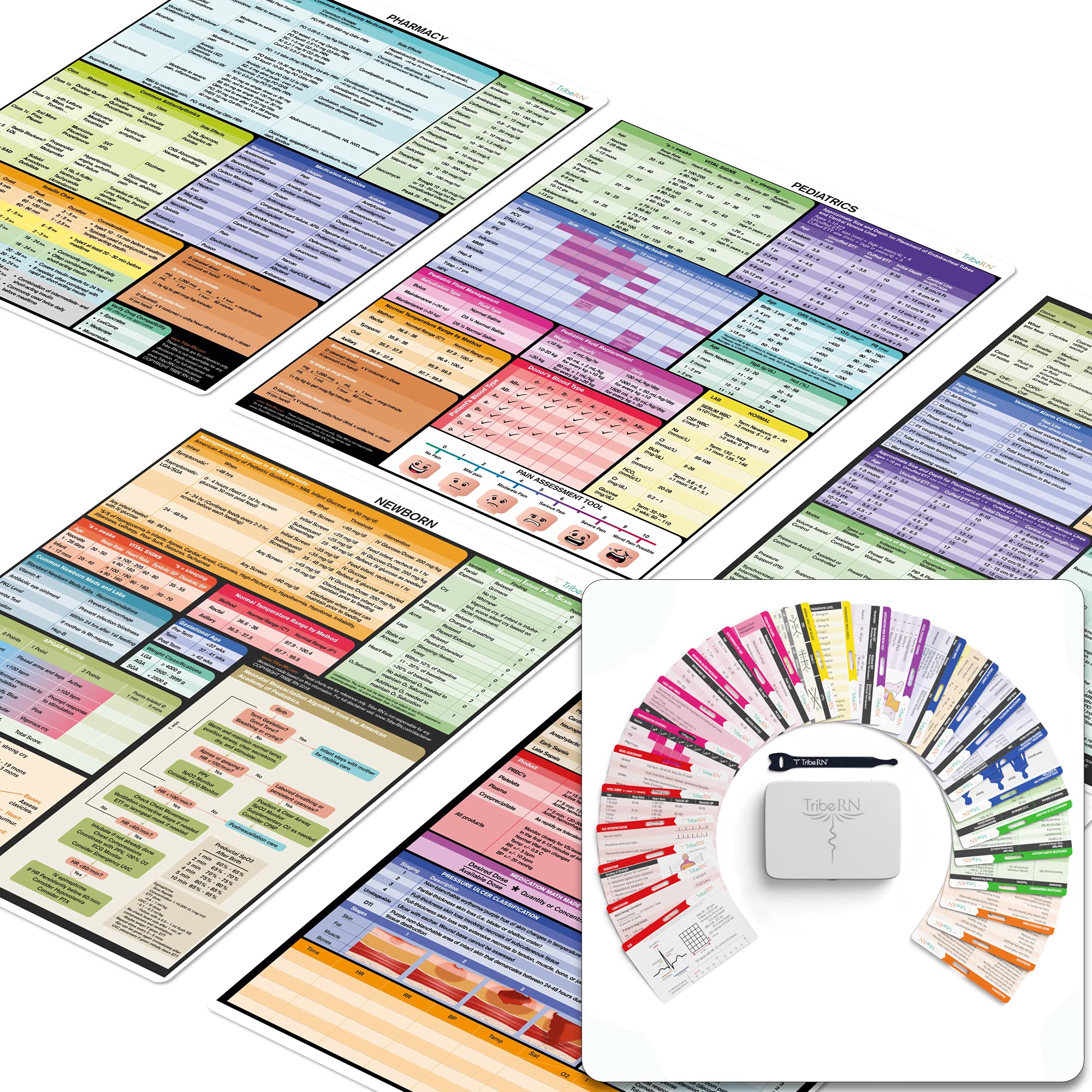 Buy Nursing Badge Reference Cards and Nurse Cheat Sheet Bundle - 26 ...