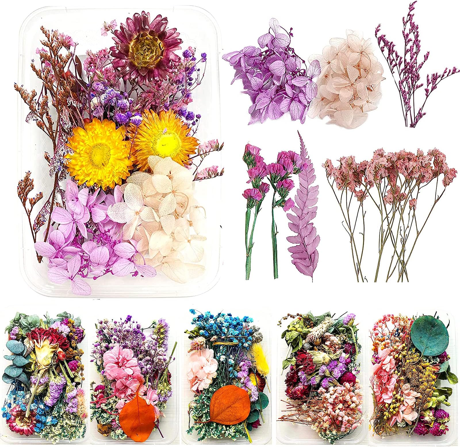 ZIOYA 4 Boîtes Fleurs Séchées Resine Epoxy Fleurs Pressé Séchées ...