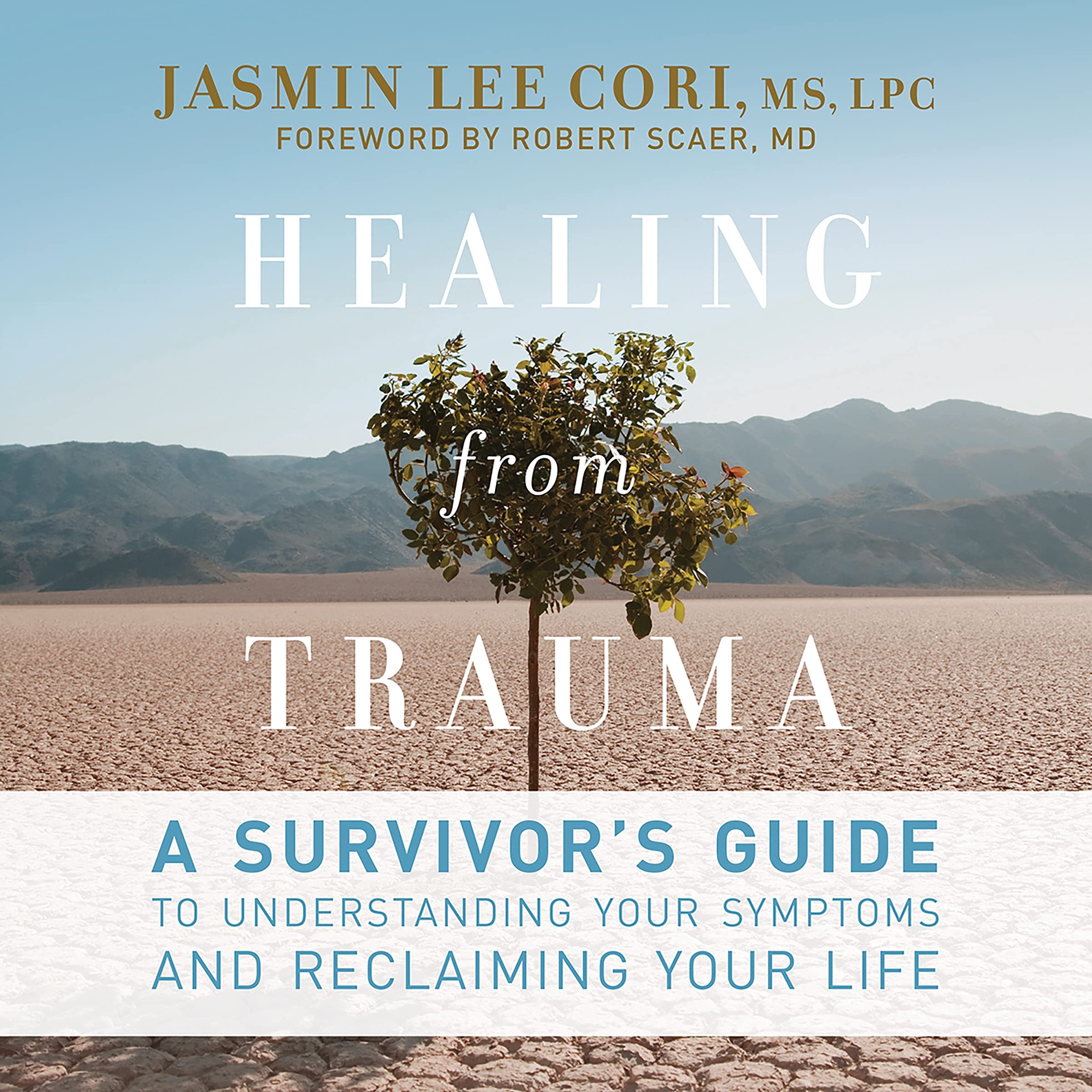 Healing from Trauma: A Survivor's Guide to Understanding Your Symptoms ...