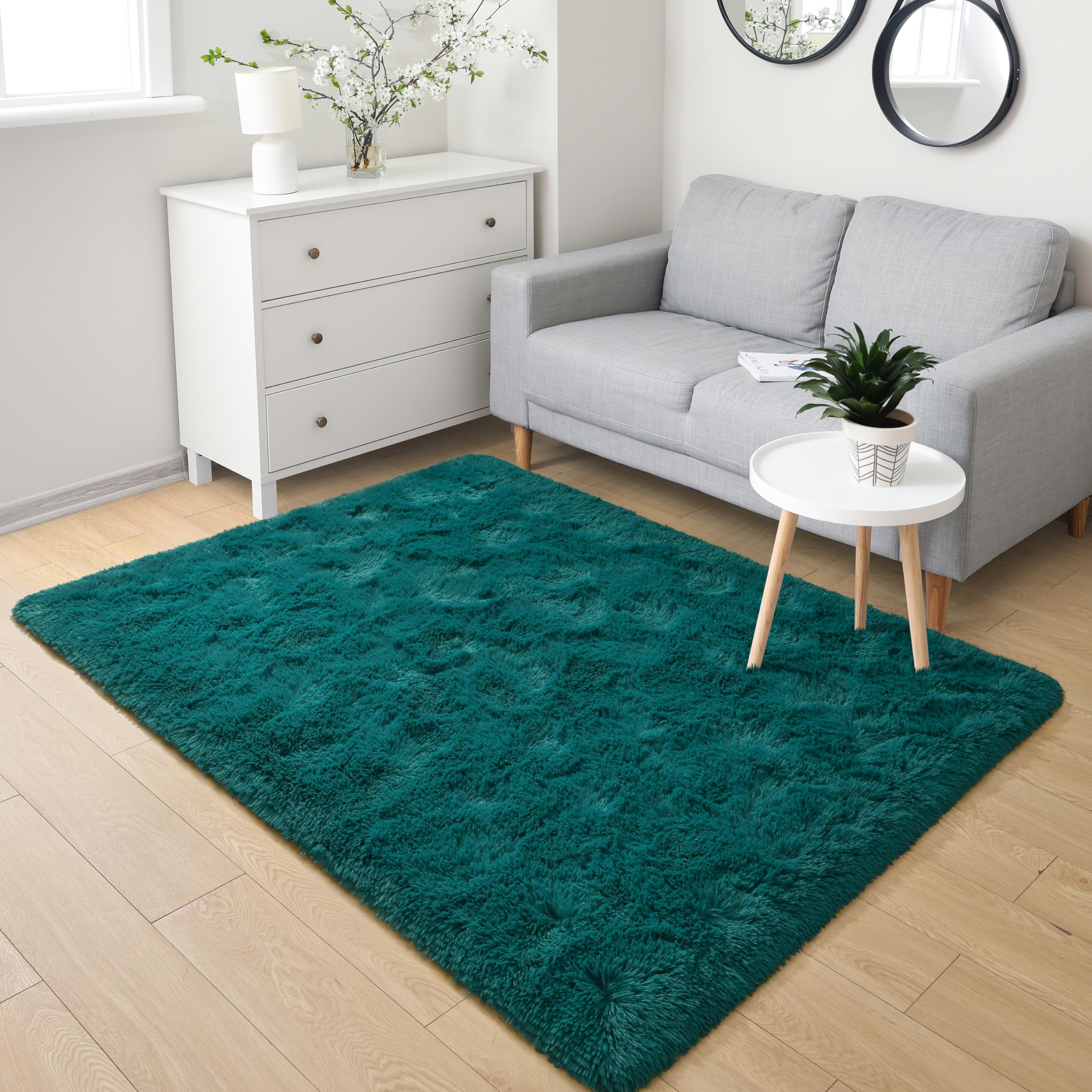 Amazon.com: BENRON Plush Teal Green Rugs for Bedroom Girls Boys Small ...