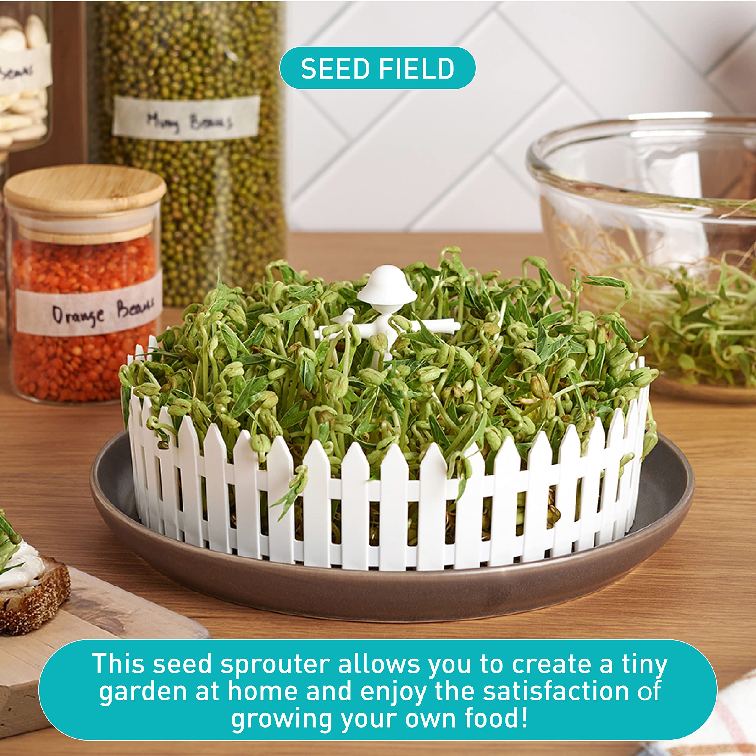 Chia Vegetable Garden Kits