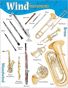 Amazon.com: Trend Enterprises Wind Instruments Learning Chart (1 Piece ...