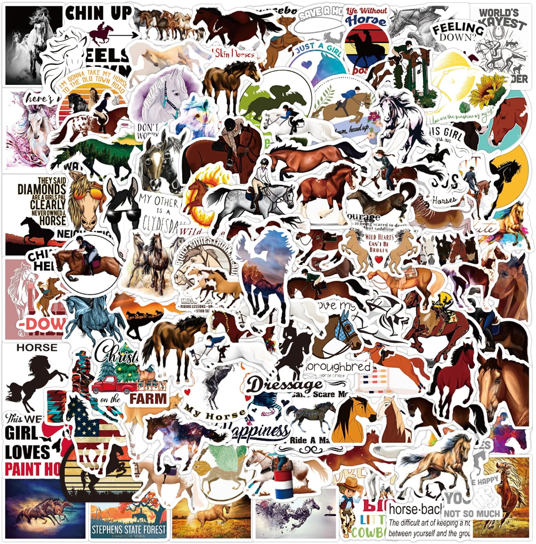 Amazon.com: 50 Packs Horse Riding Stickers Water Bottles Laptop Phone ...