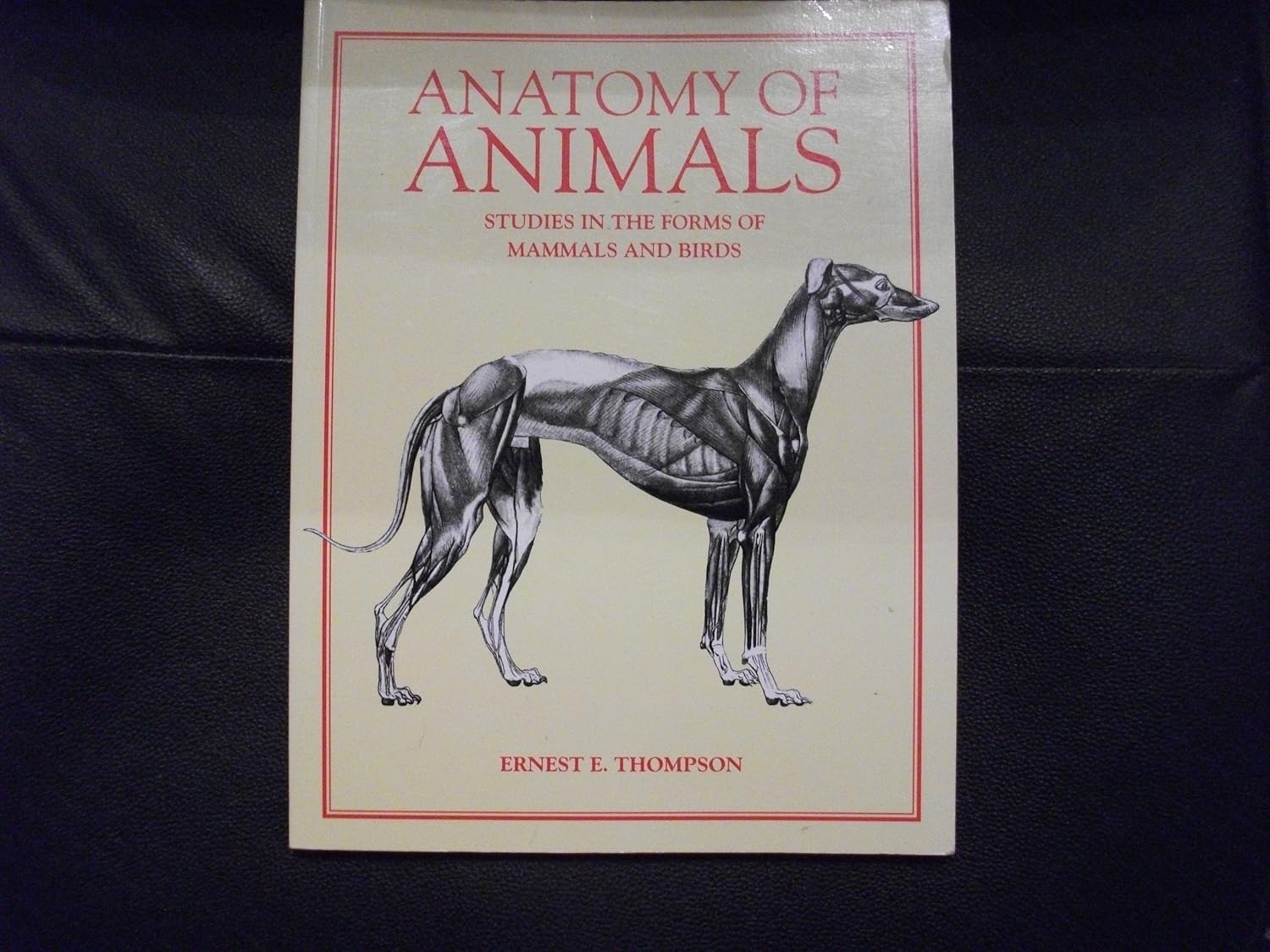 Anatomy of Animals: Studies in the Forms of Mammals and Birds: Amazon ...