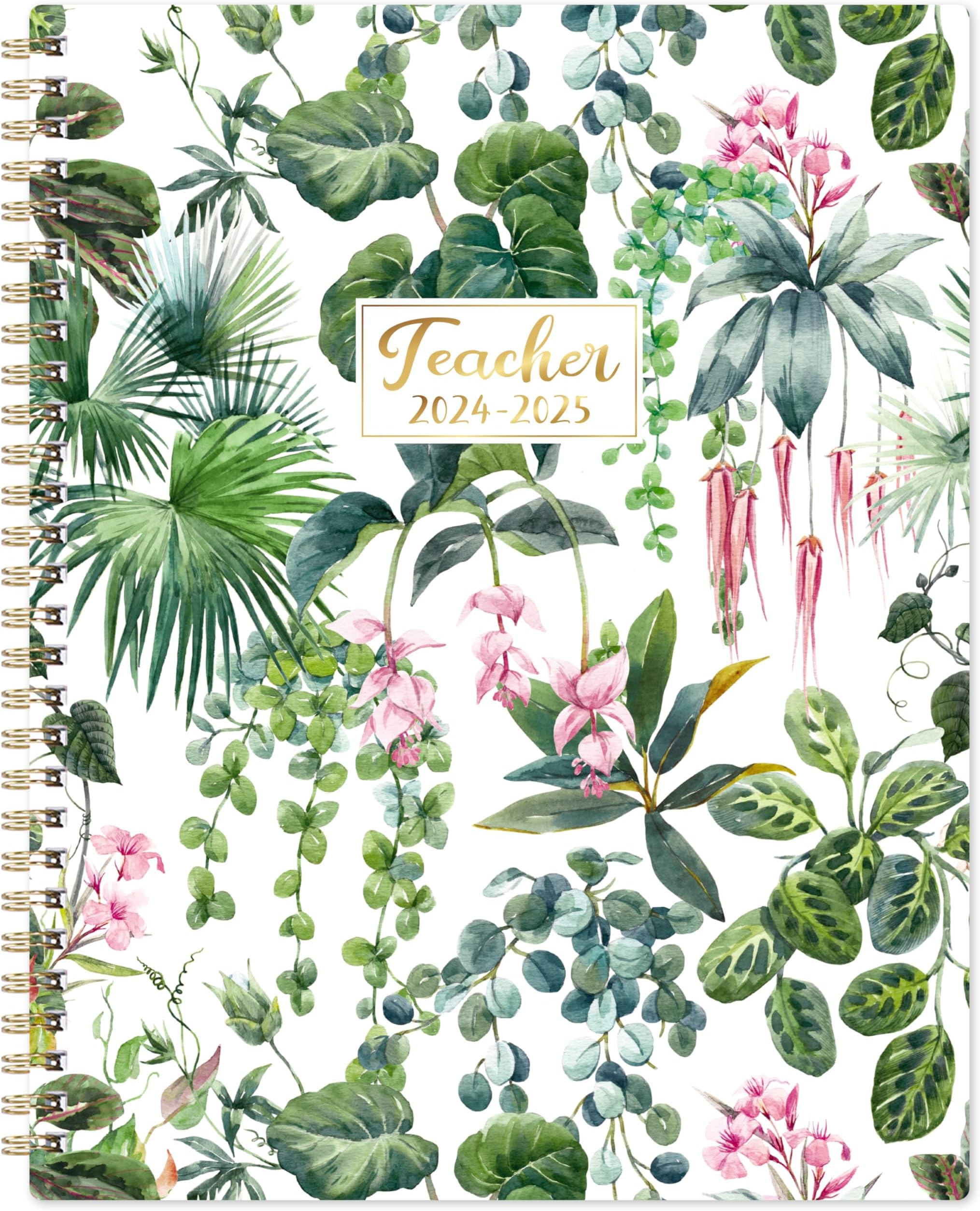 Amazon.com : 2024-2025 Teacher Planner - Teacher Lesson Planner 2024 ...