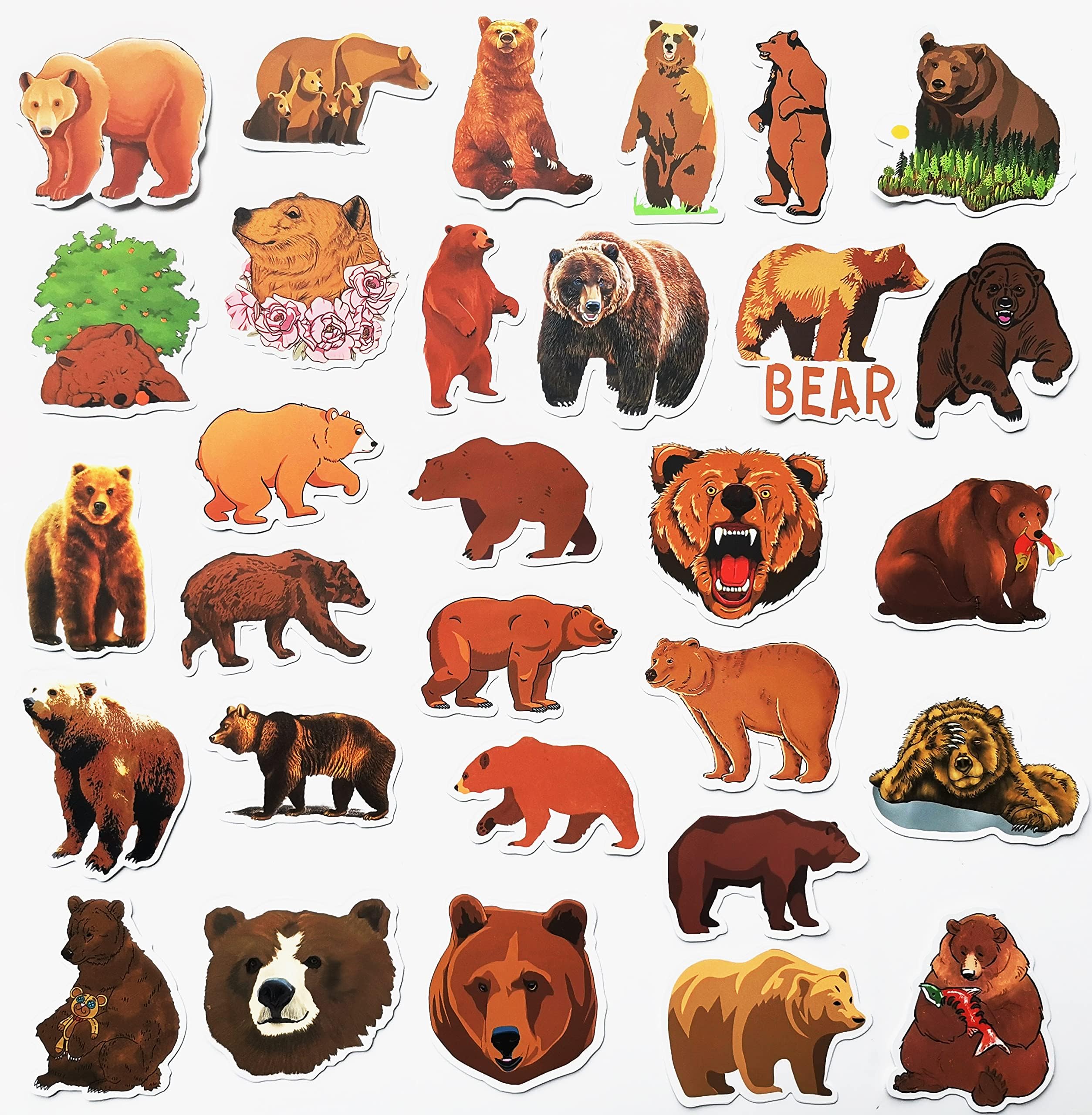 Amazon.com - 50Pcs Wild Brown Bear Stickers Cute Brown Bear Decal for ...