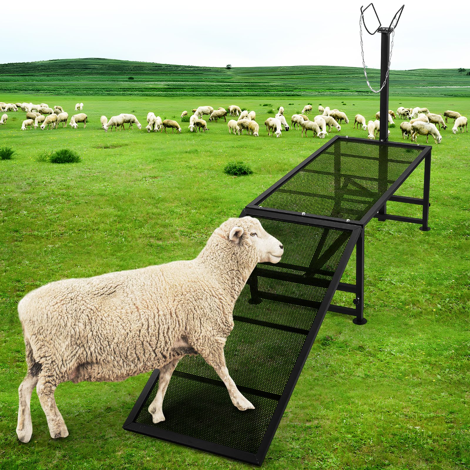 Amazon.com: Proshine Livestock Trimming Stand with a Ramp 47 * 23” Goat ...