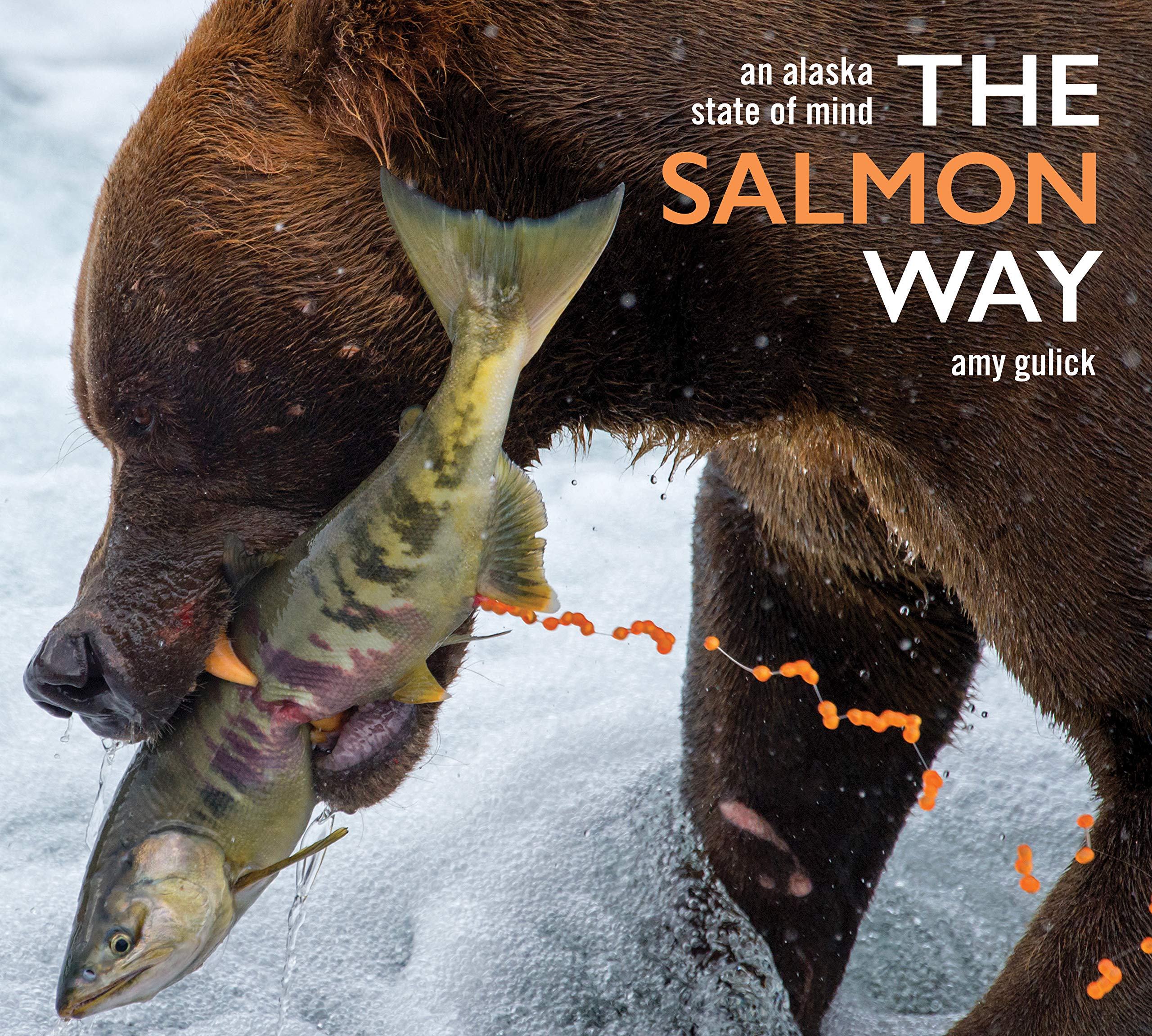 The Salmon Way: An Alaska State of Mind: Gulick, Amy: 9781680512380 ...