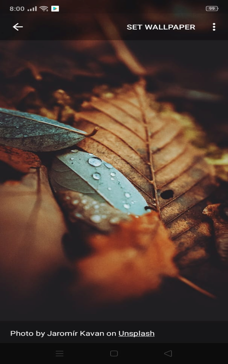 Wallpapers 4K - Auto Background Changer - App on Amazon Appstore