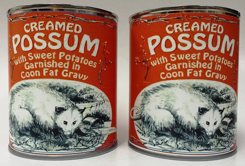Can Possums Eat Corn: A Guide To Understanding Possum Diet | PetShun