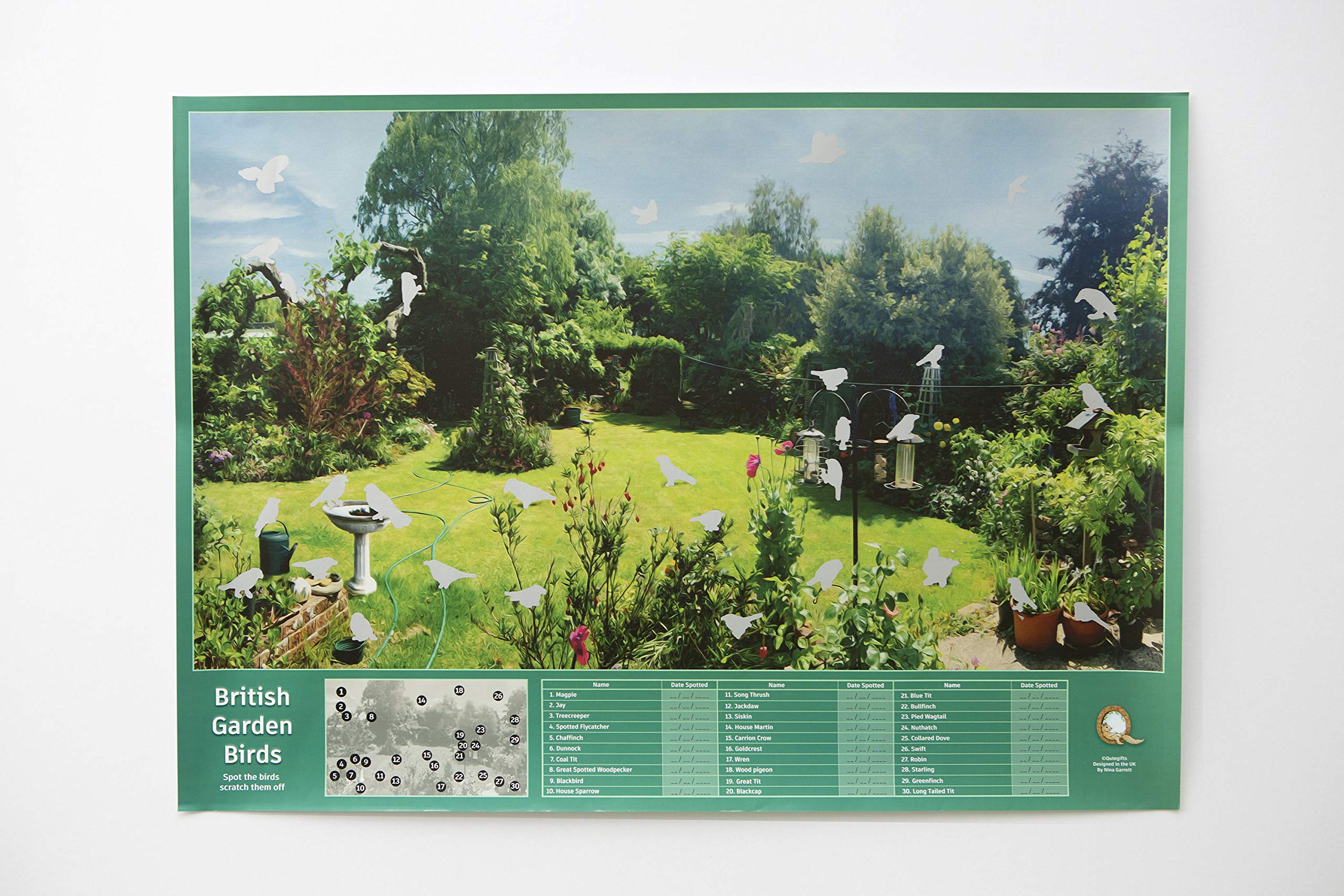 Scratch Off Garden Birds Poster : Amazon.co.uk: Home & Kitchen