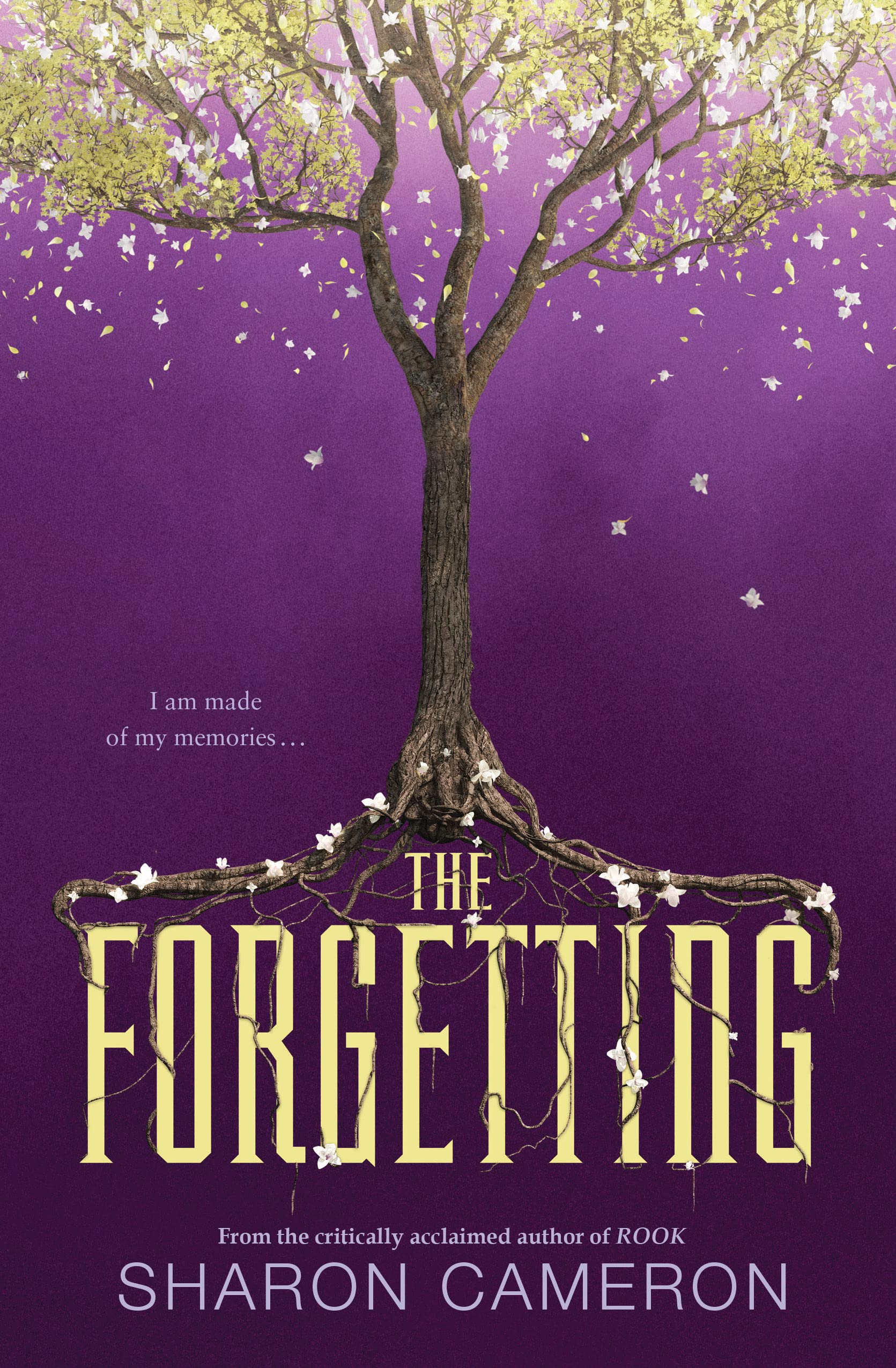 Amazon.com: The Forgetting: 9780545945219: Cameron, Sharon: Books