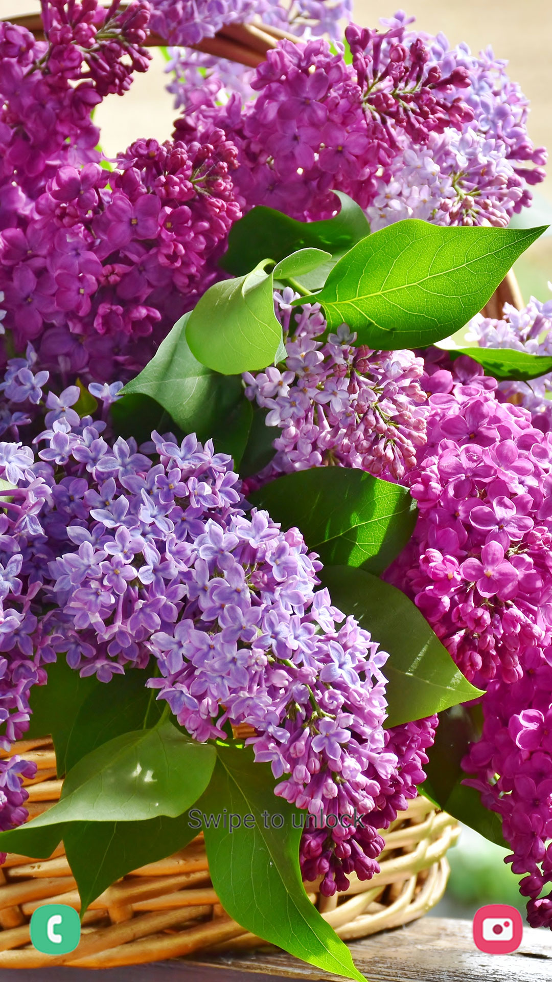 Spring Wallpapers - App on Amazon Appstore