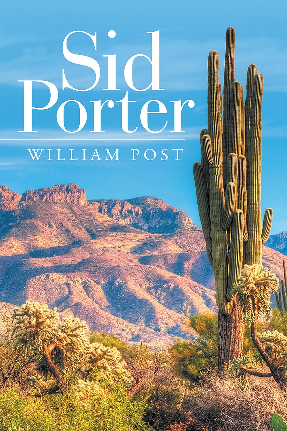 Sid Porter - Kindle edition by Post, William. Literature & Fiction ...
