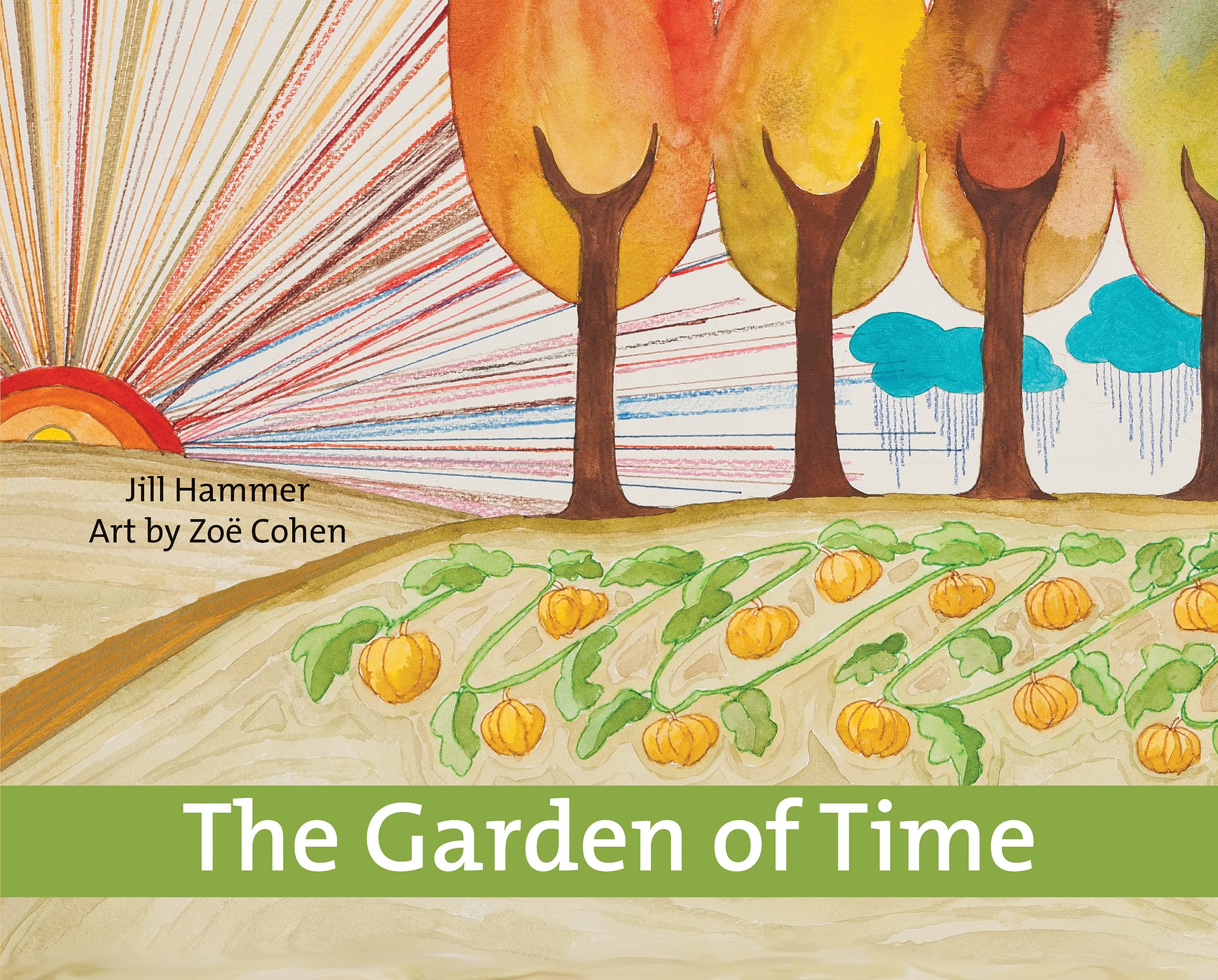 The Garden Of Time: Hammer, Jill, Cohen, Zoë: 9781558967298: Amazon.com ...