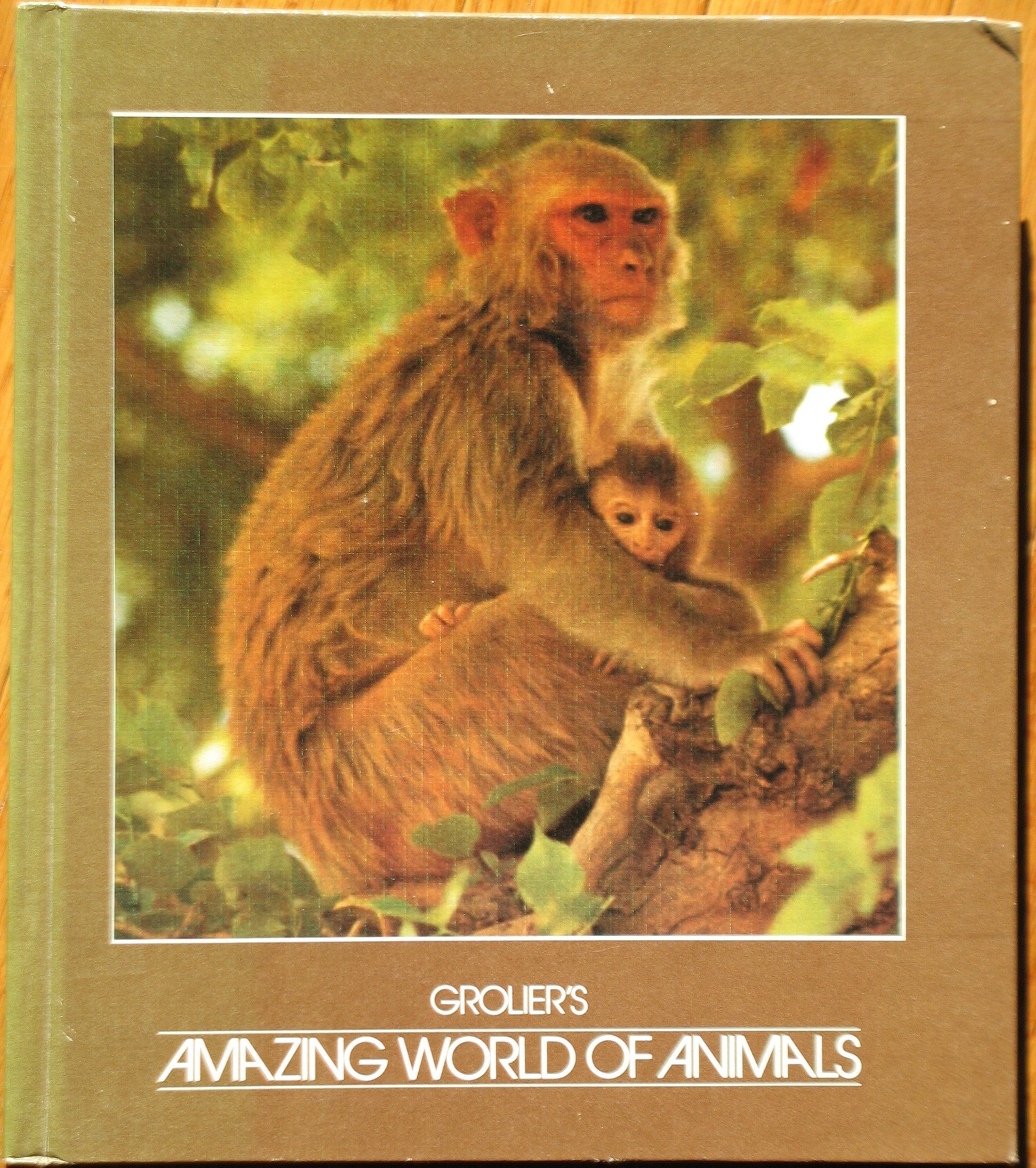 Amazing Animals Of The World Book at Lois Degeorge blog
