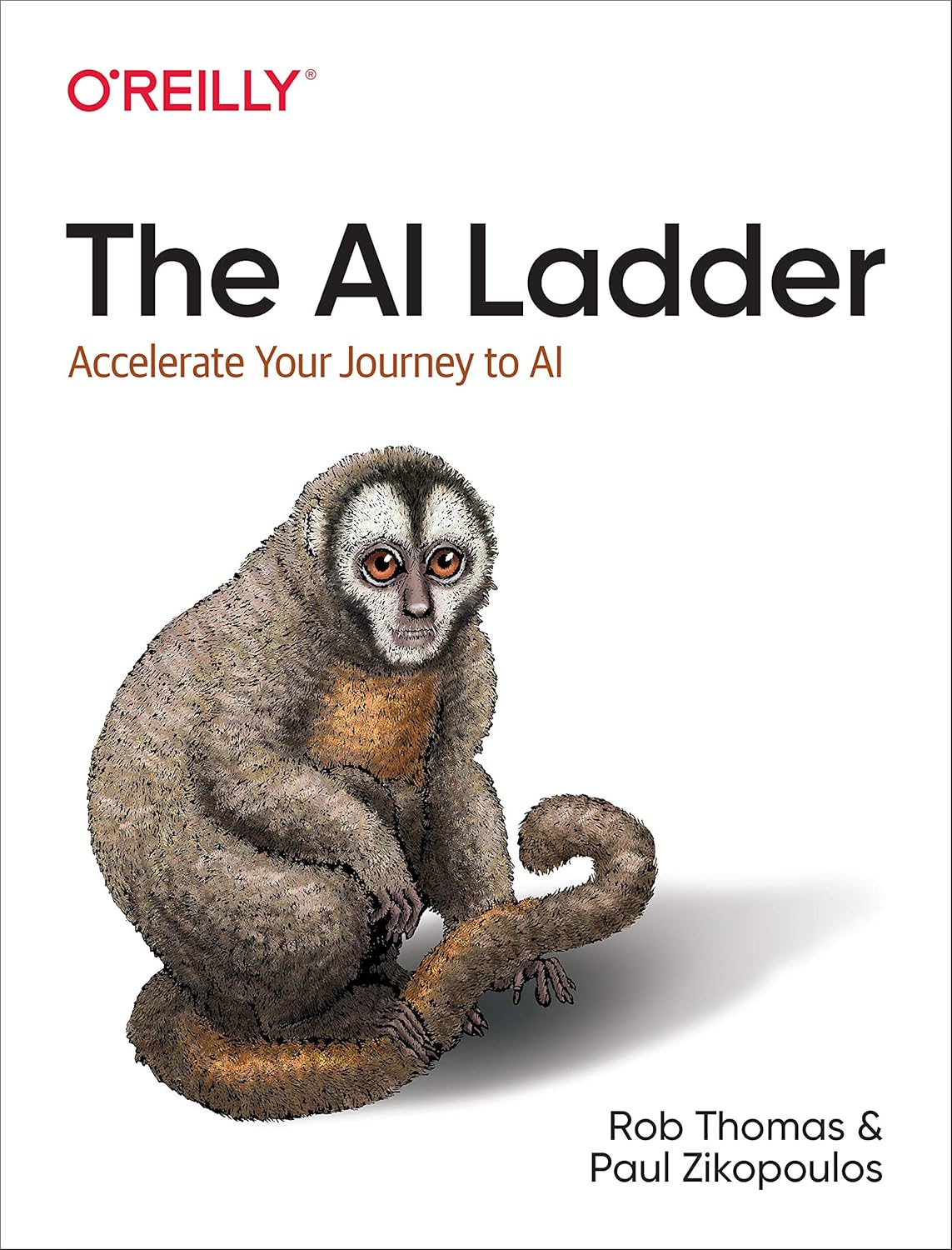 The AI Ladder: Accelerate Your Journey to AI: Thomas, Rob, Zikopoulos ...