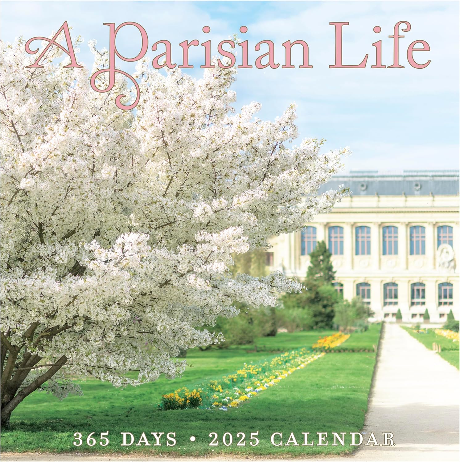 Amazon.com : 365 Daily Desk Calendar for 2025 by Graphique, Day to Day ...