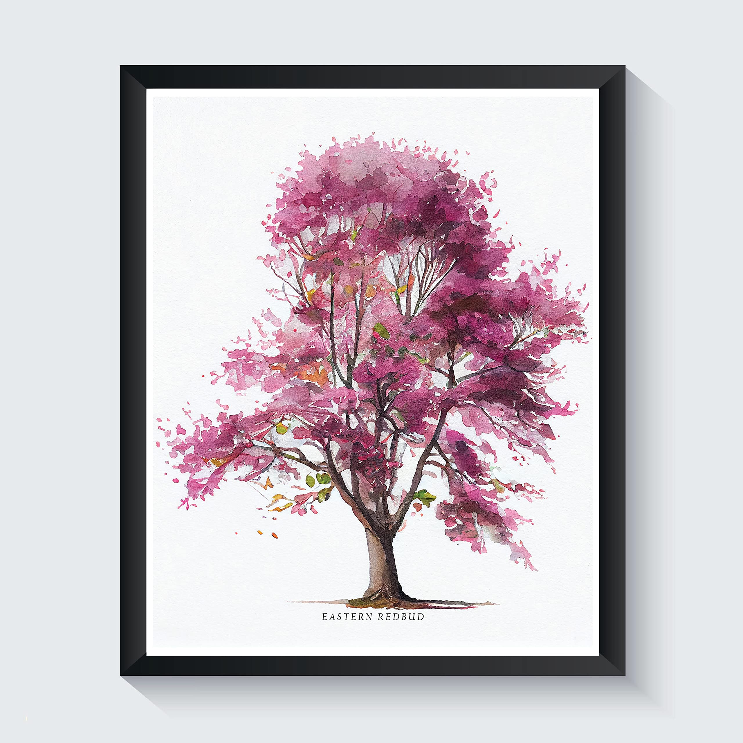 Amazon.com: Eastern Redbud Tree Poster Wall Decor Art Painting, Tree ...