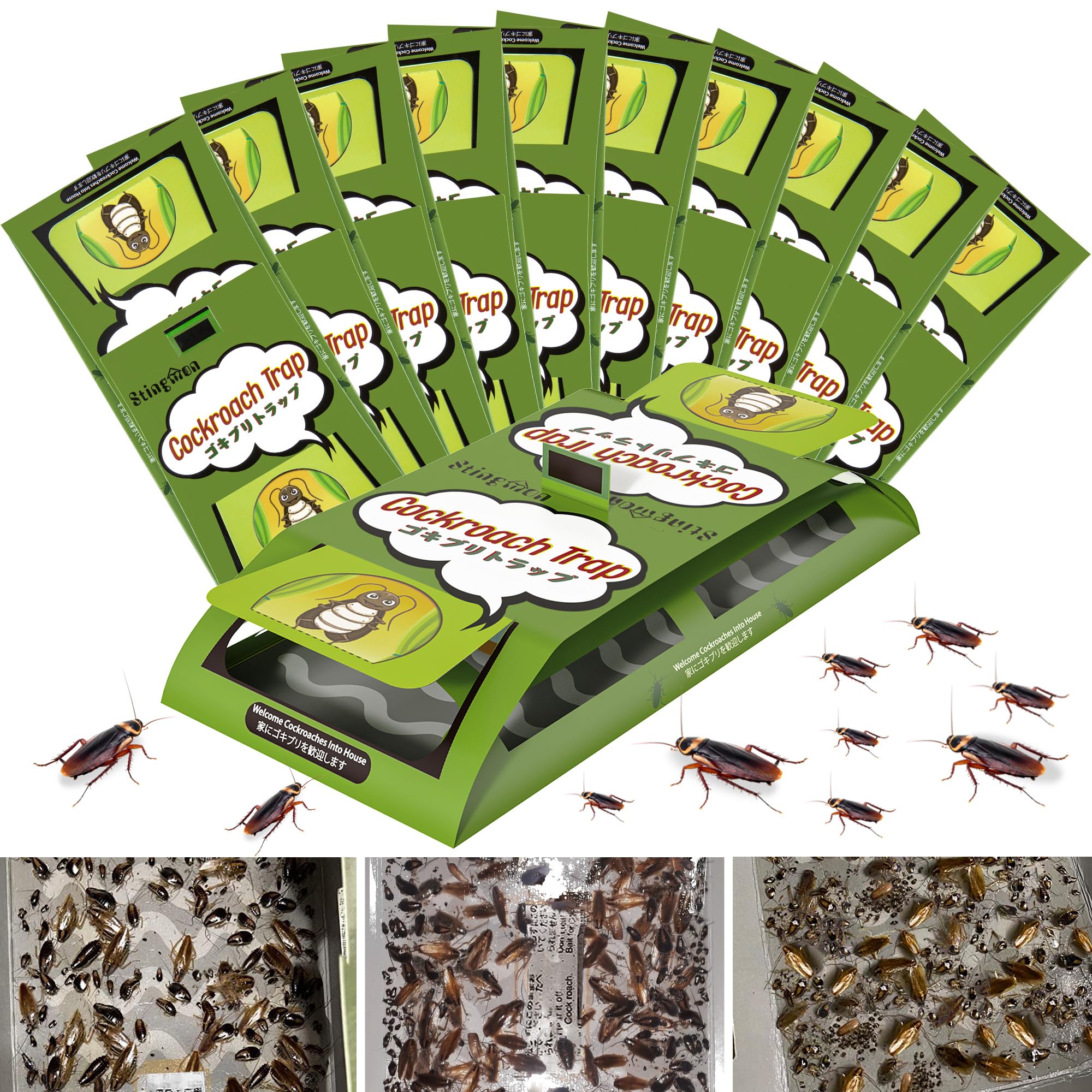 Buy 2024 Upgrade 24 Pack Roach Killer Indoor Infestation, Cockroach ...