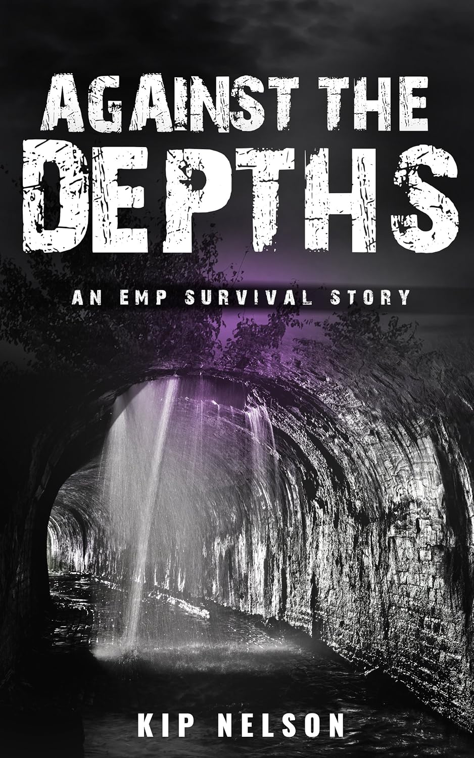 Amazon.com: Against The Depths: An EMP Survival Story (EMP Crash Book 9 ...