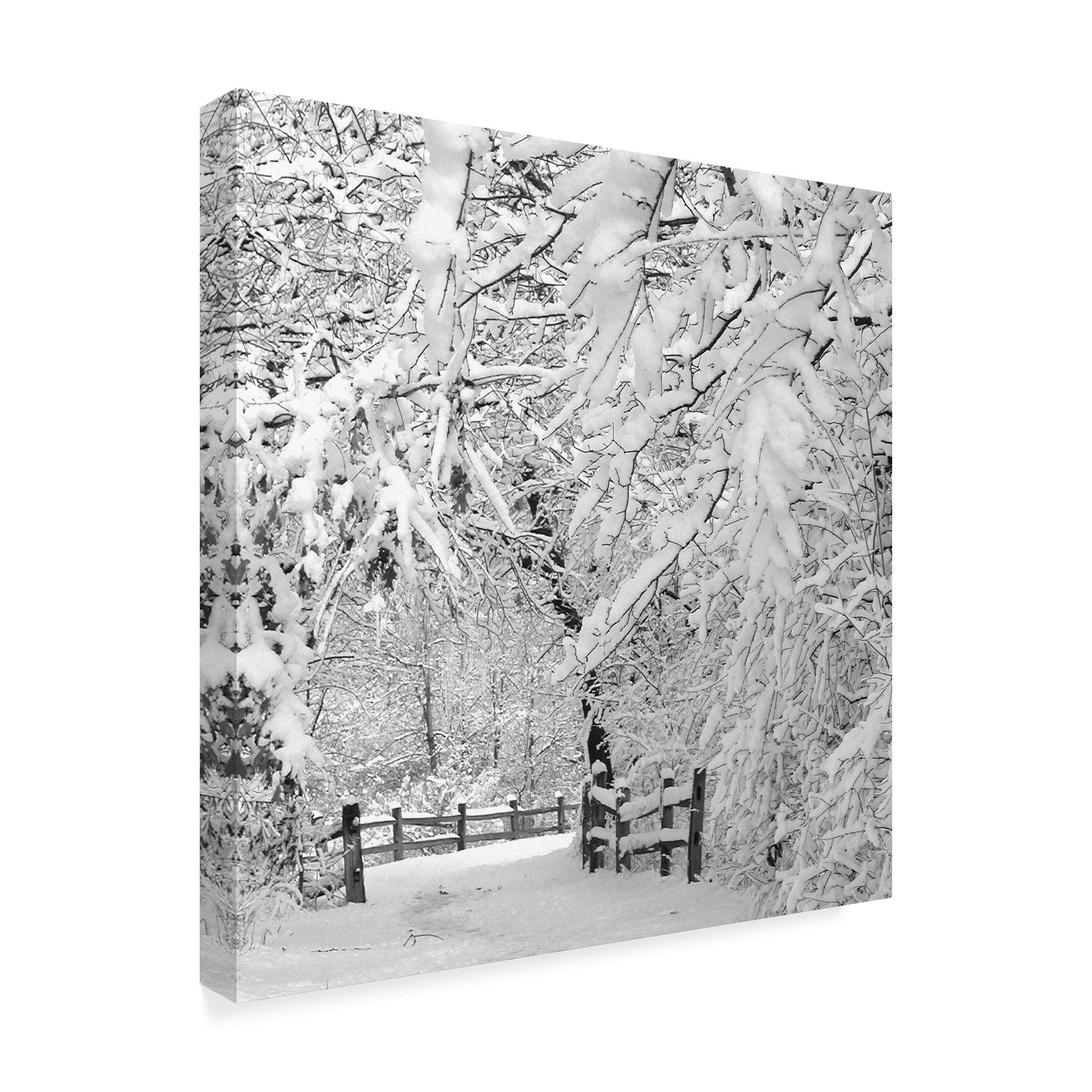Winter Wonderland Dark Art IDEA4WALL Canvas Art Winter Wonderland,