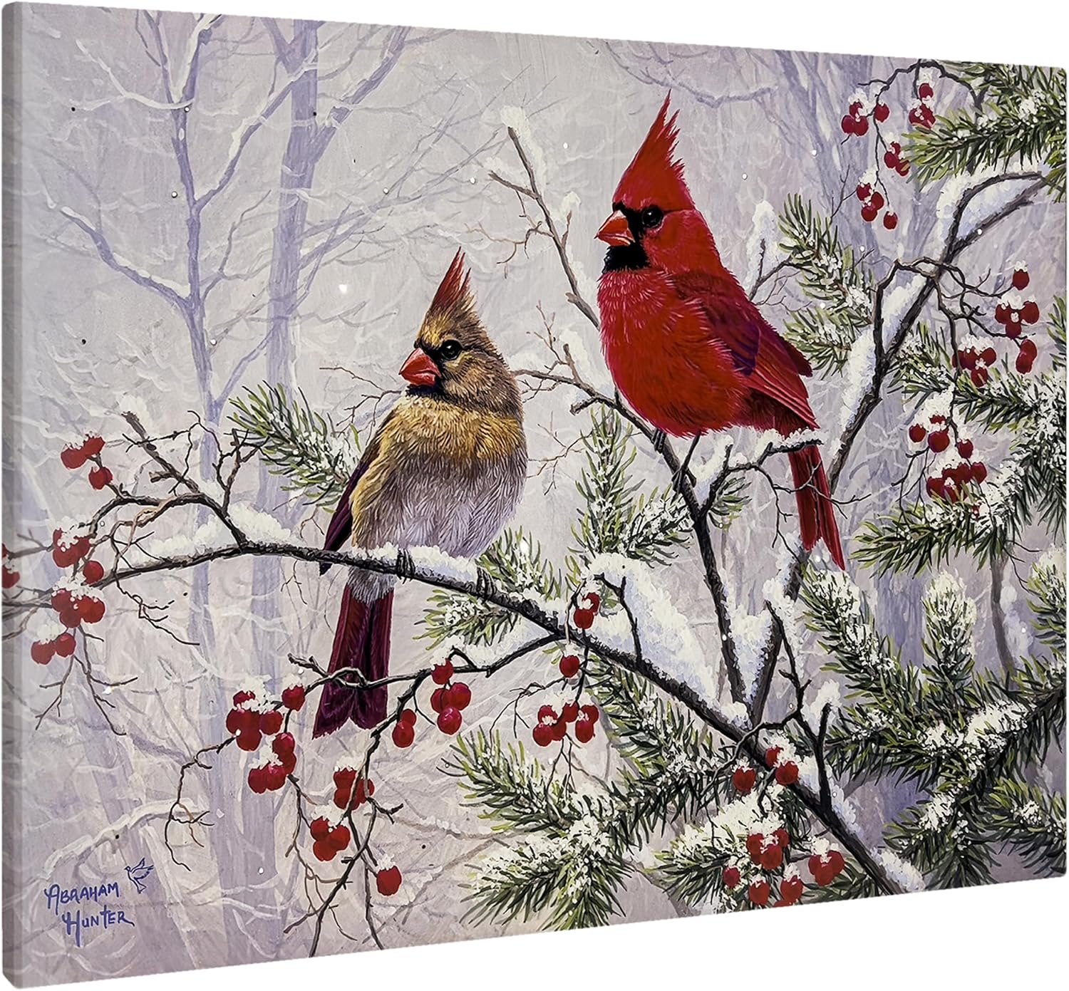 Amazon.com: Cardinals LED Lighted Canvas Pictures Wall Art w/ 6H Timer ...