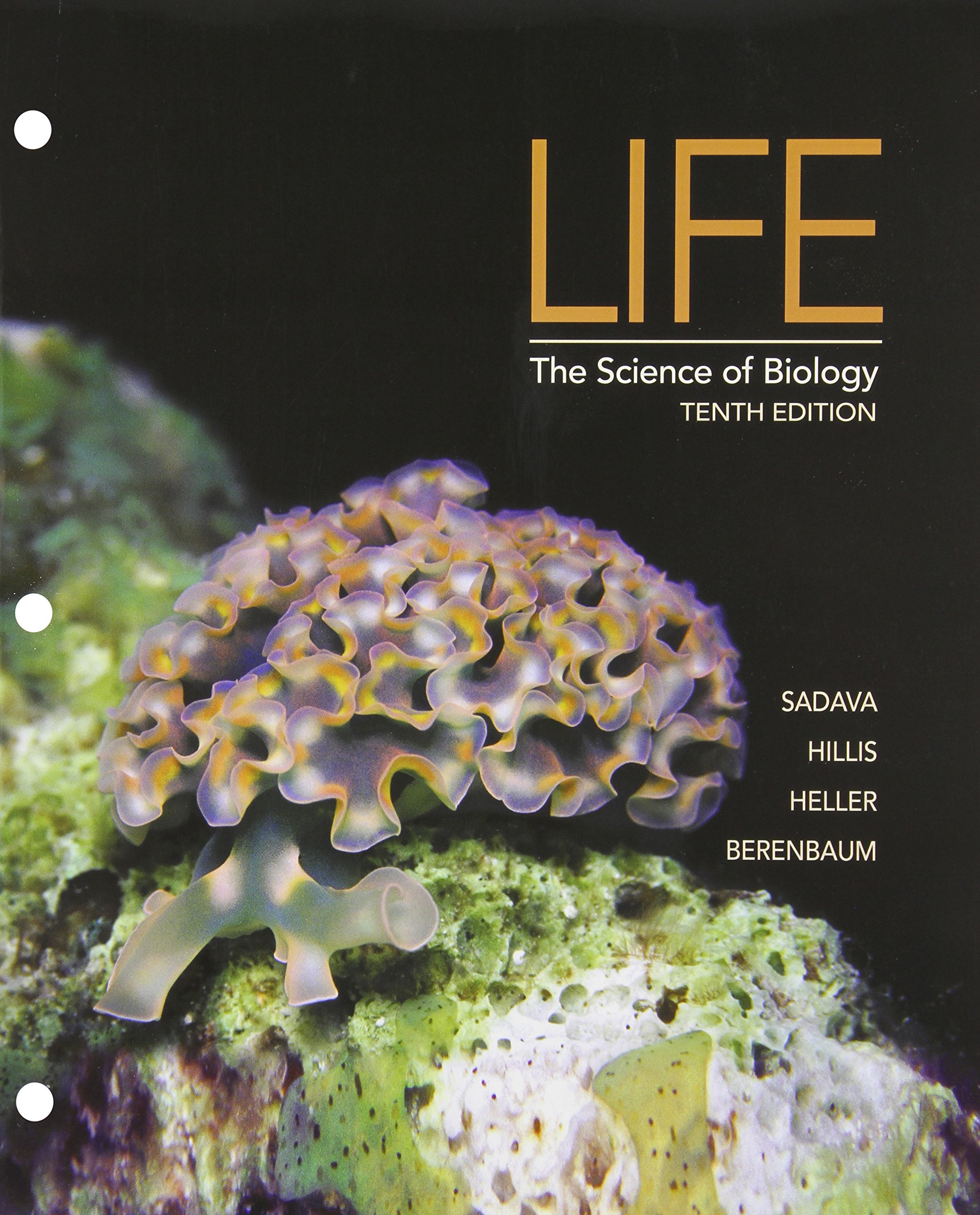 Amazon.com: Life: The Science of Biology, 10th Edition: 9781464141263 ...