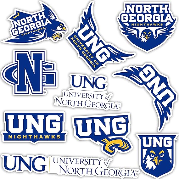 Amazon.com: University of North Georgia Sticker UNG Nighthawks Stickers ...