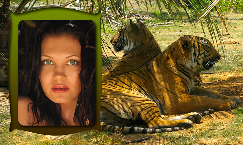 Tiger Photo Frames - App on Amazon Appstore
