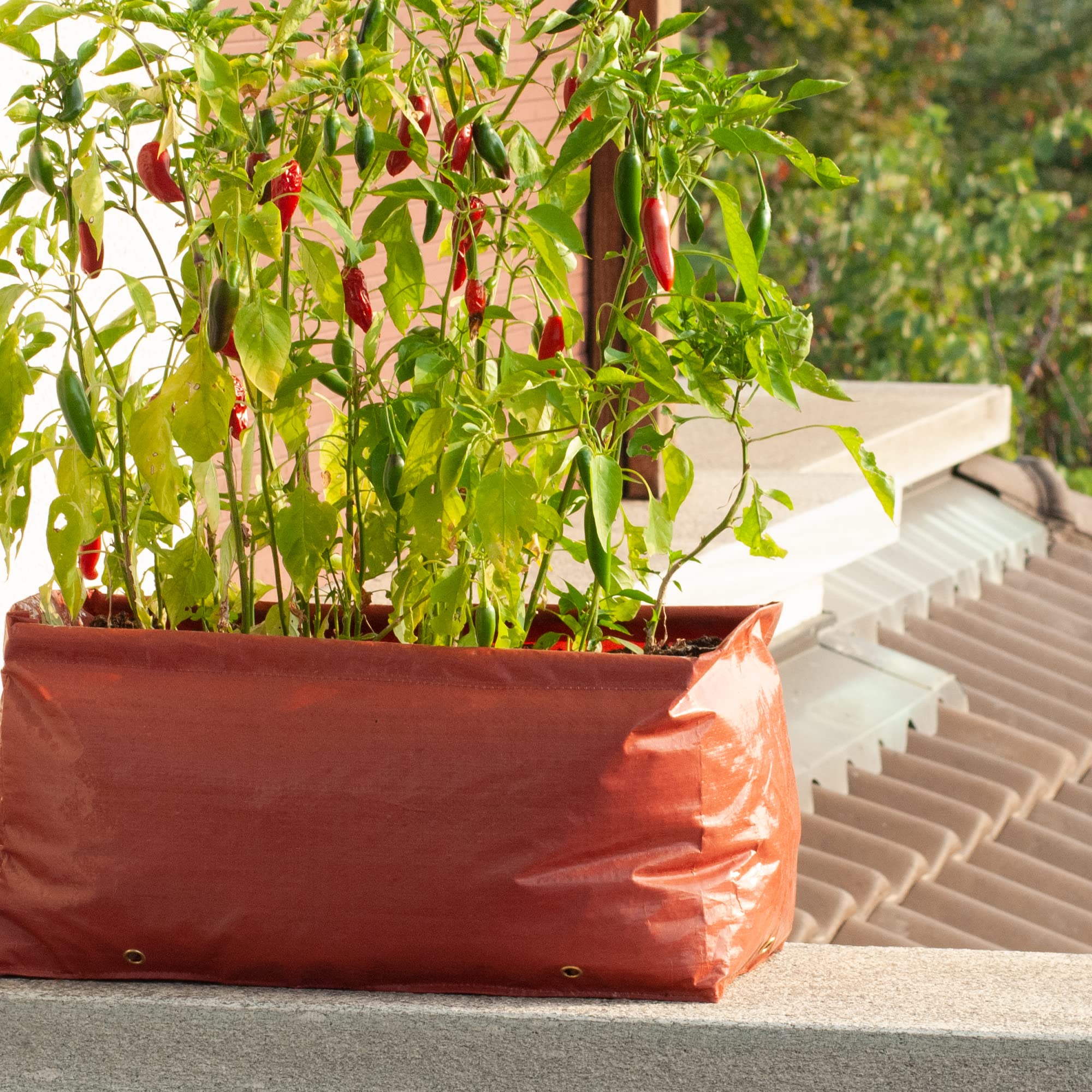 Growing Vegetables In Plastic Tubs