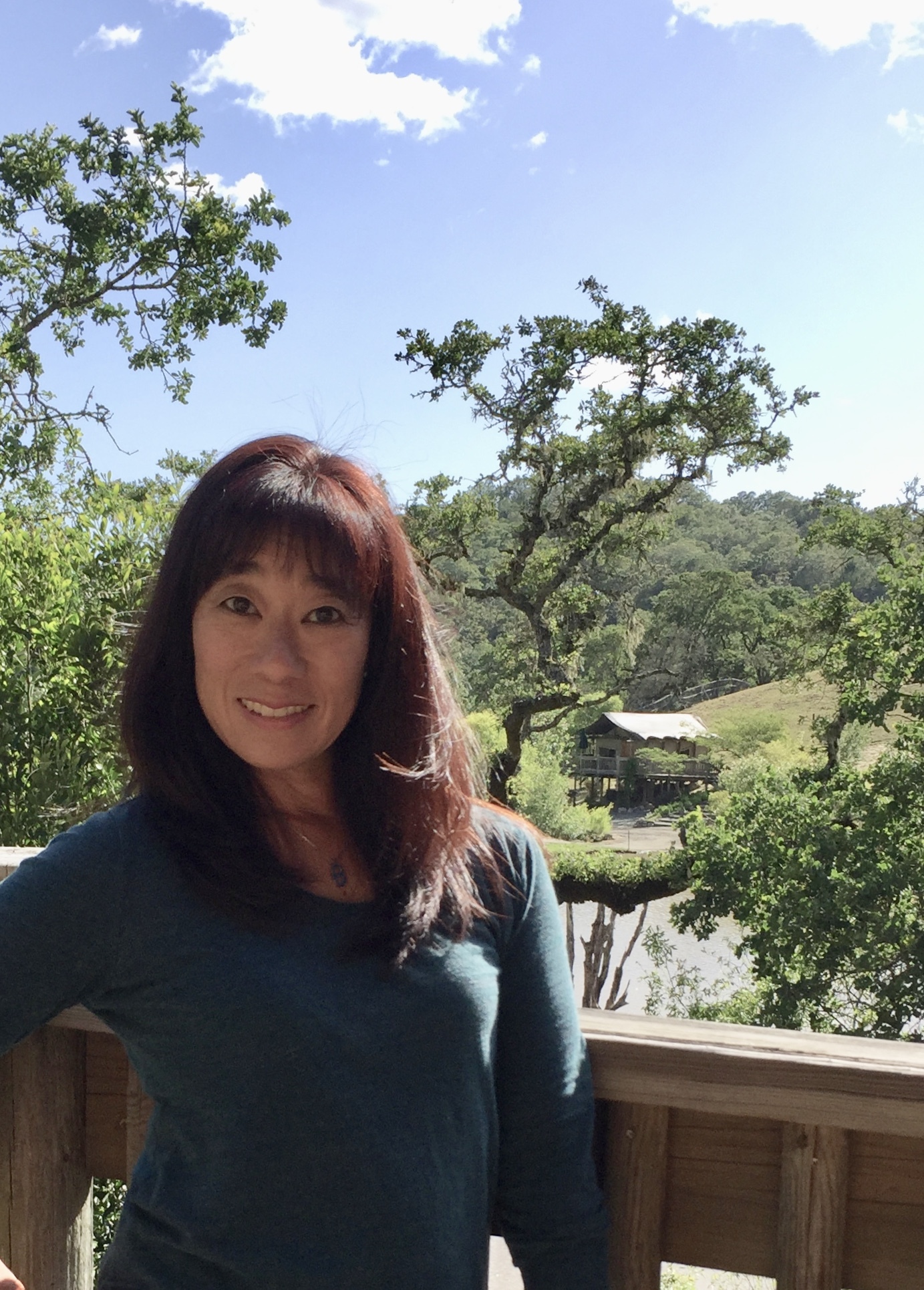 Amazon.com: Lori Verbin Flaum: books, biography, latest update