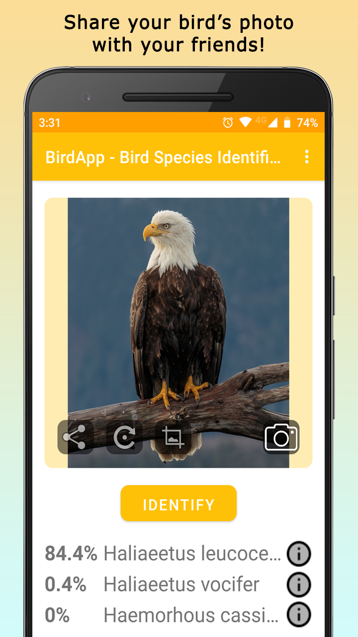 BirdsID - Identify Birds - App on Amazon Appstore