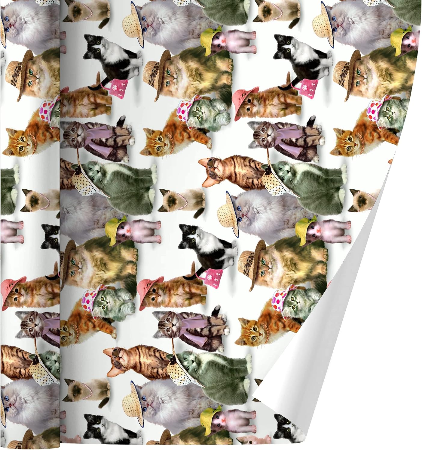 Amazon.com: GRAPHICS & MORE Cats Kittens in Hats Pattern Gift Wrap ...