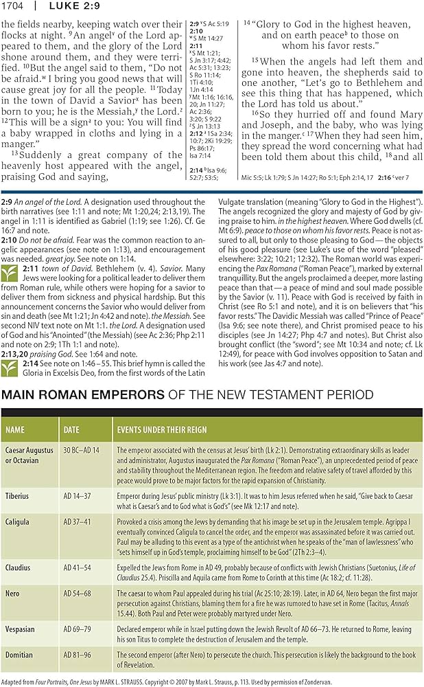 What Are The Differences Between The NIV And NLT Versions 47 OFF what-are-the-differences-between-the-niv-and-nlt-versions-47-off